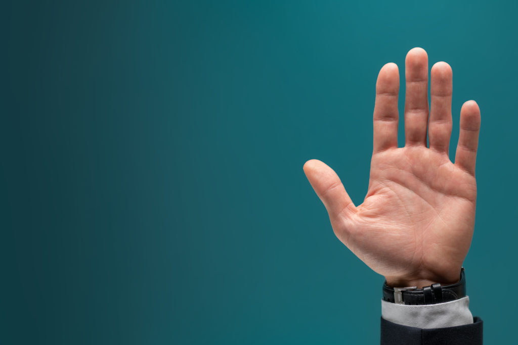 Homunculus – Handfacts