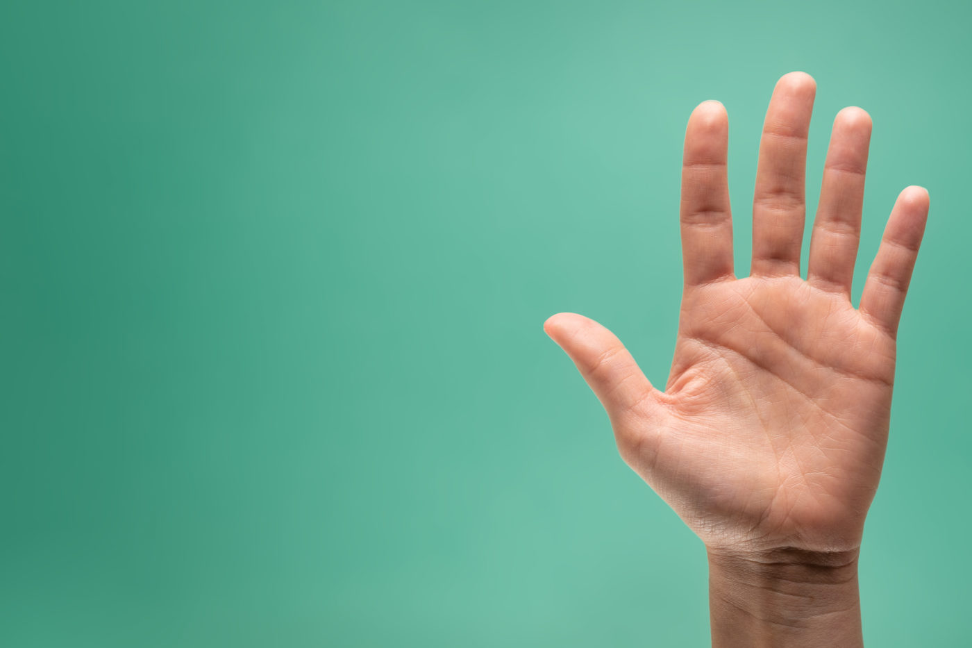 Wunderwerk – Handfacts
